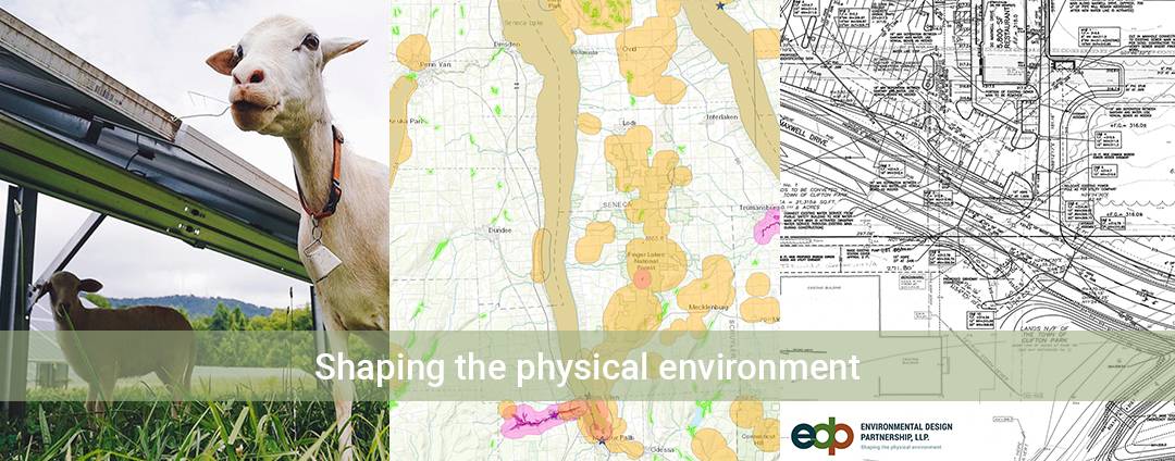 HOME - Environmental Design Partnership